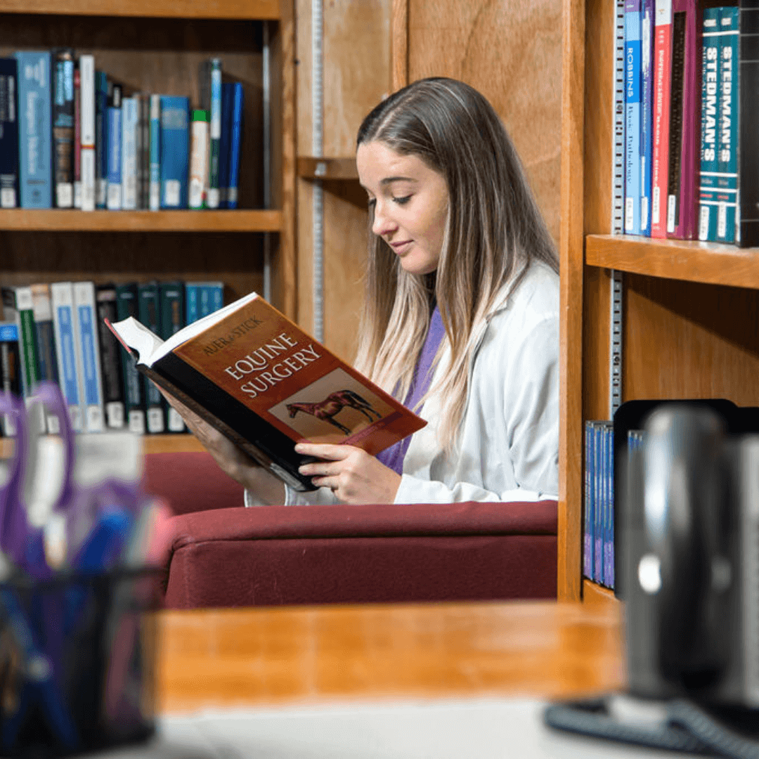 How To Write a Vet School Personal Statement | SMUSVM