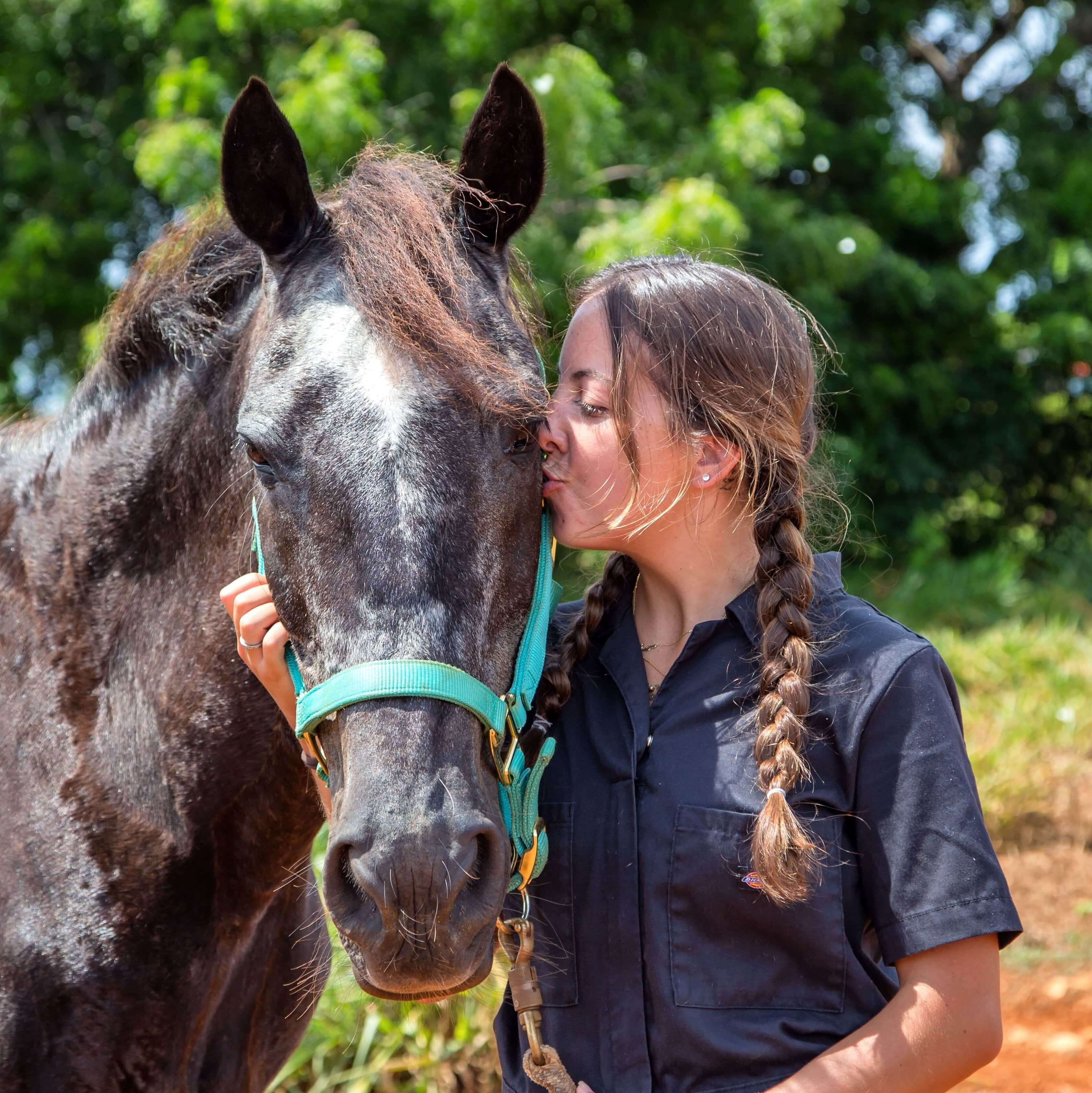 Pre-Veterinary Master’s Program | SMUSVM
