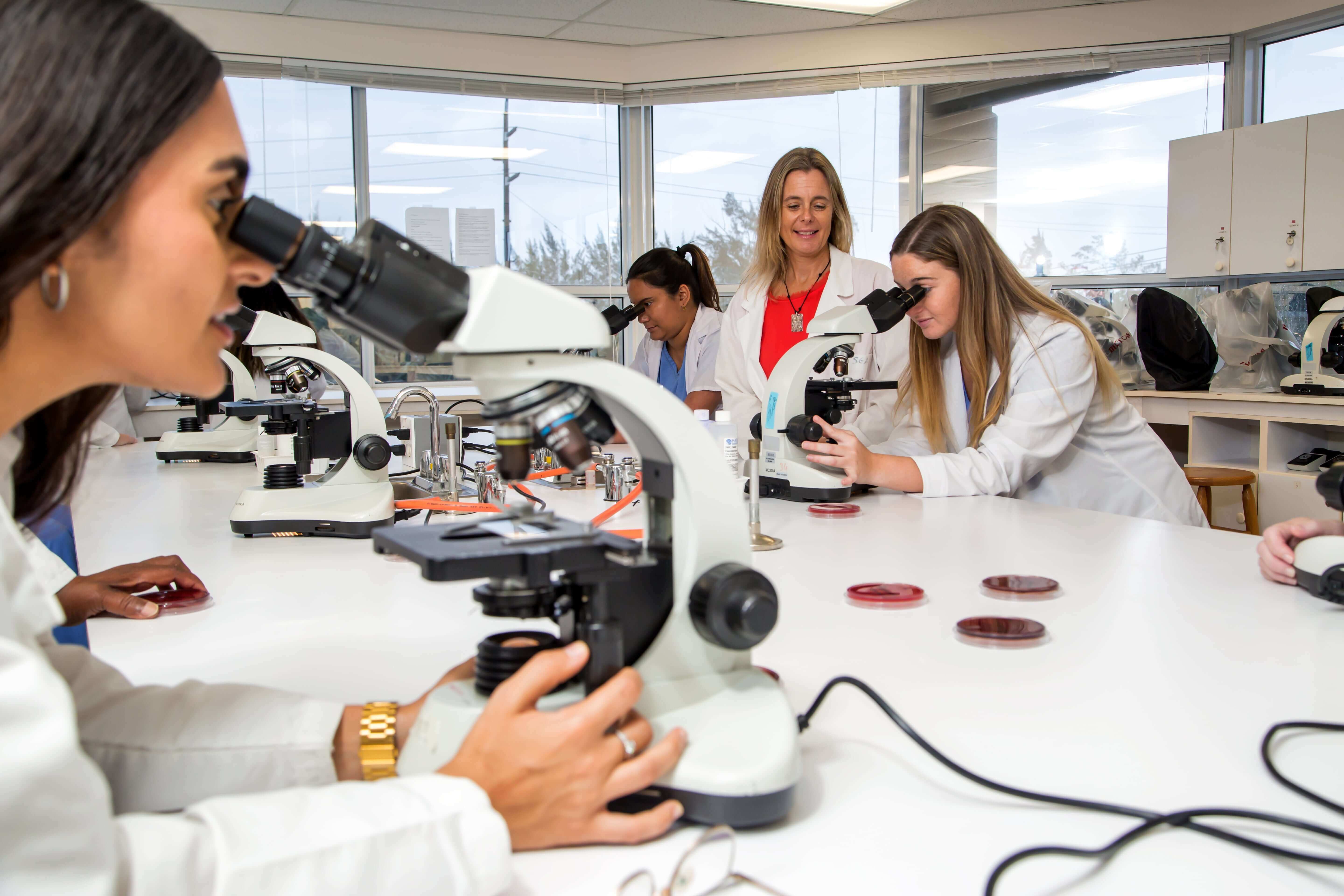 DVM Clinical Medicine Program - SMUSVM