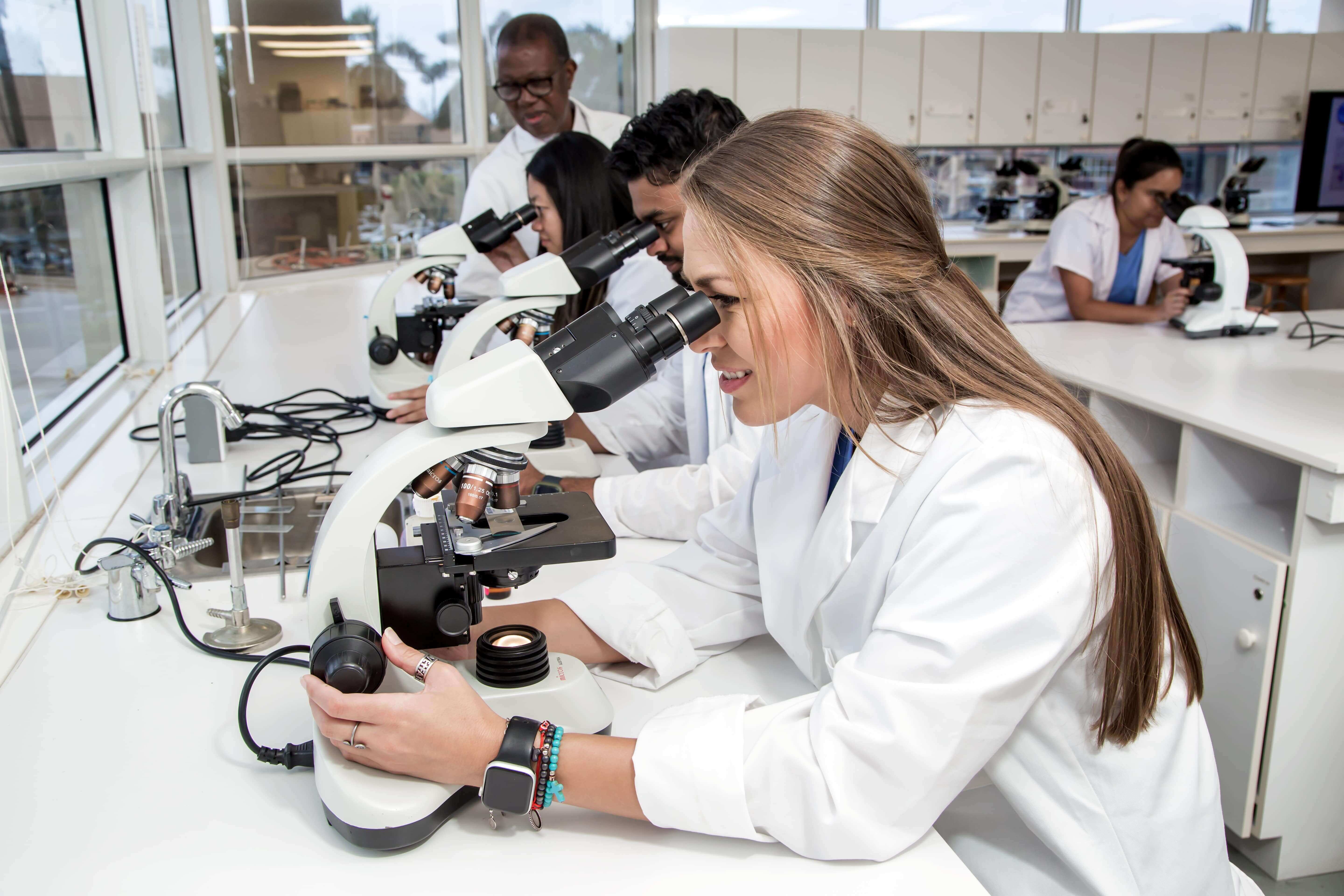 The challenges and rewards of veterinary medicine degree | SMU