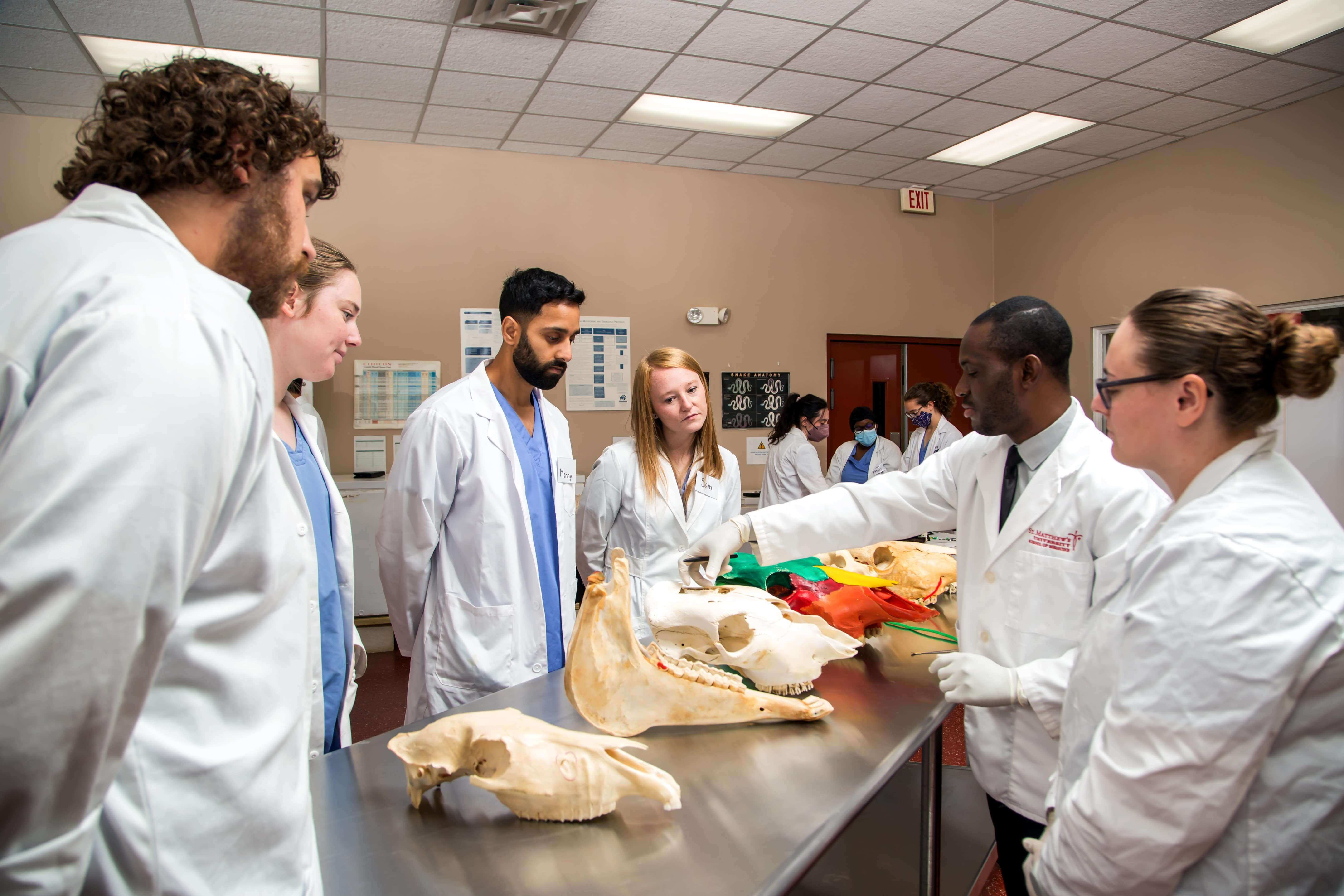 SMU Vet Academics - SMUSVM