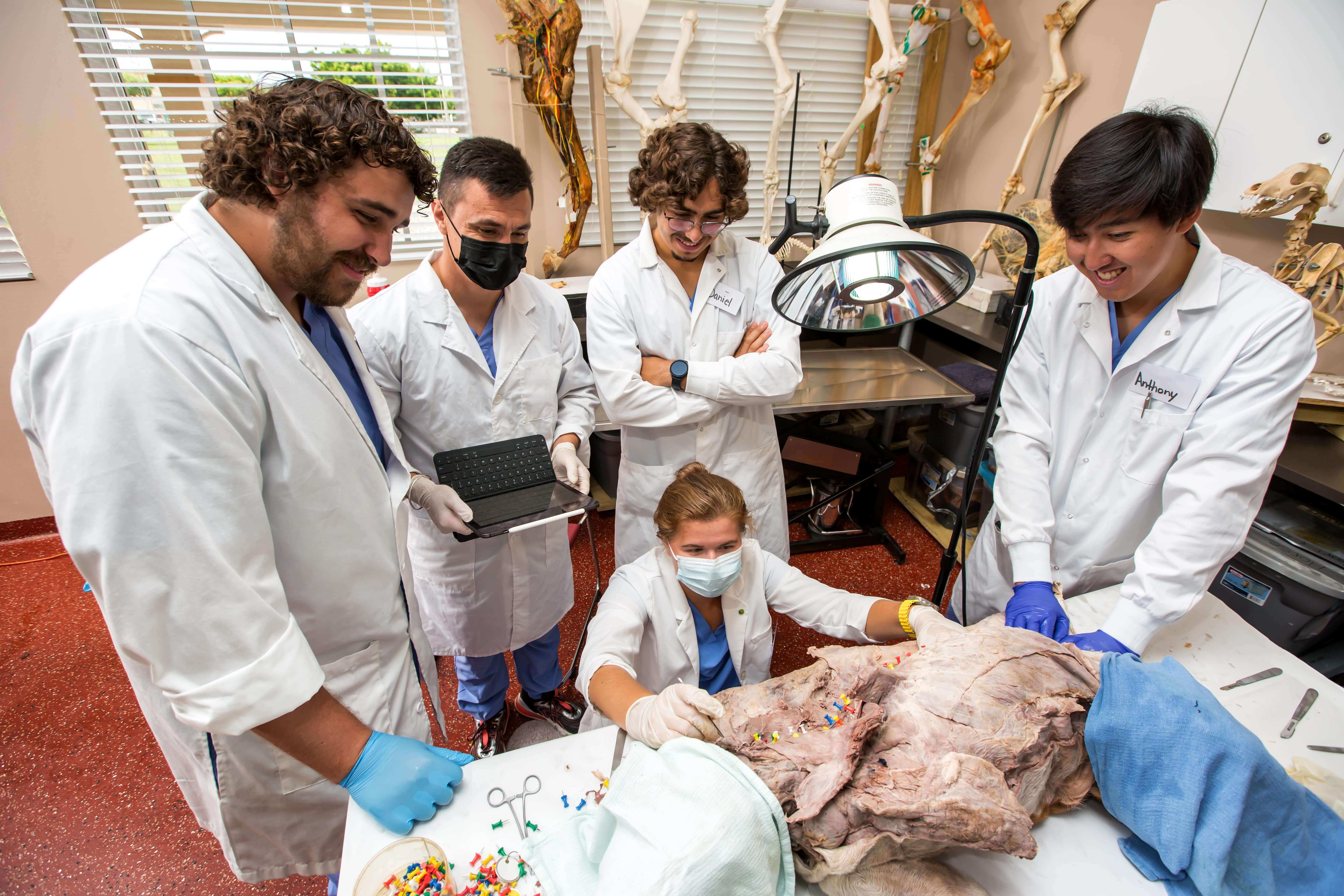 Student Support Services - St. Matthew's University - Veterinary