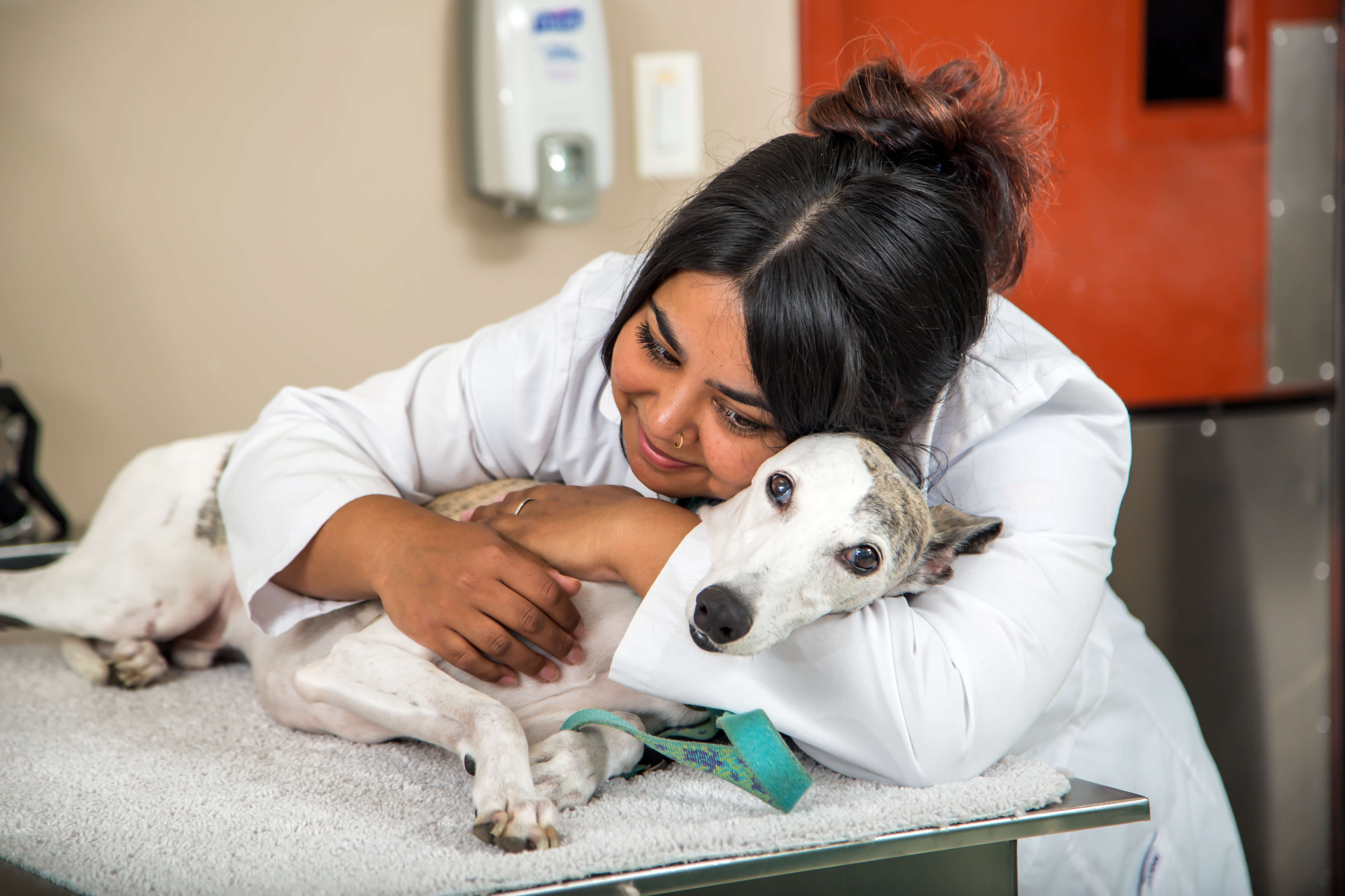 St. Matthew's University School of Veterinary Medicine | SMUSVM