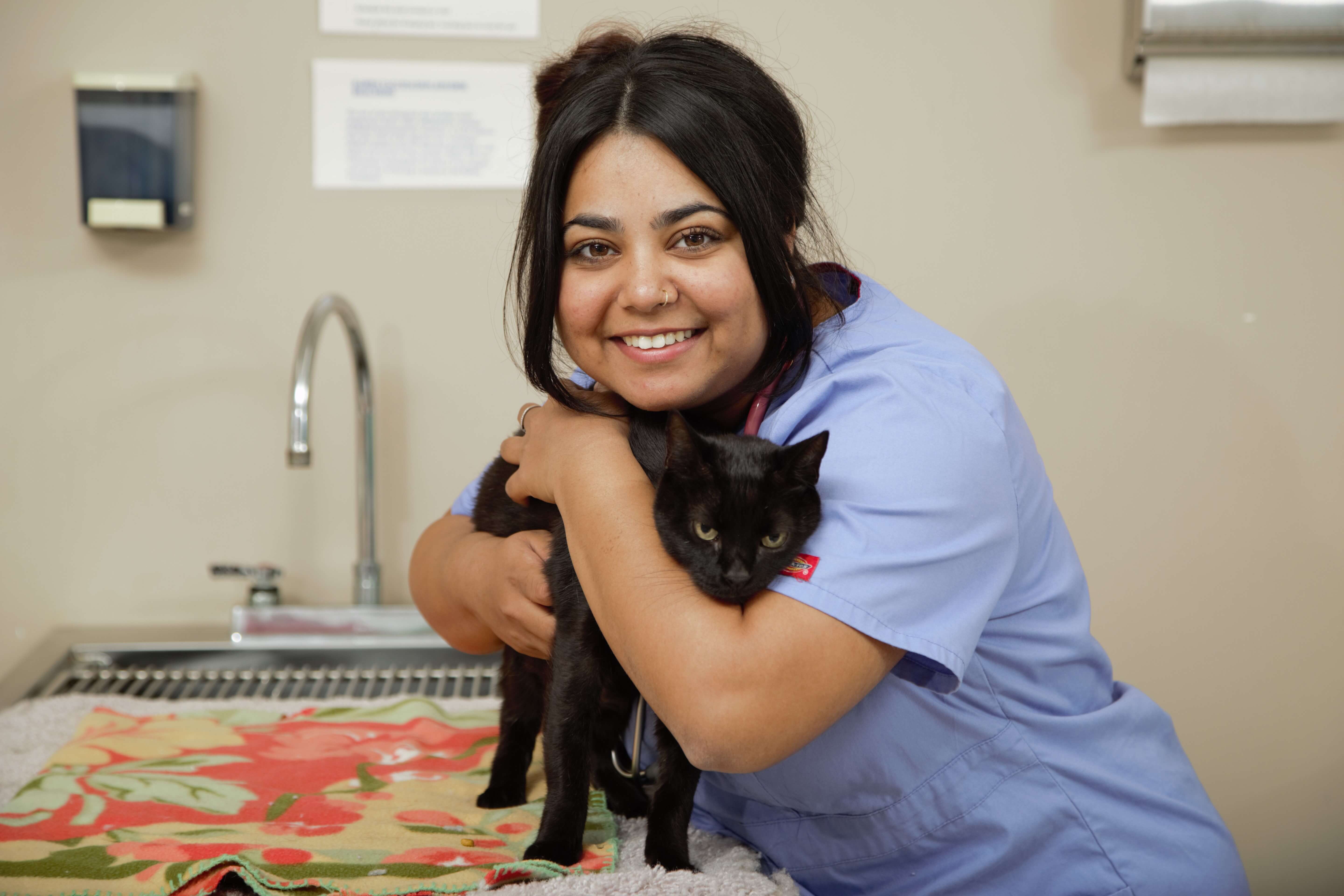 St. Matthew's University School of Veterinary Medicine | SMUSVM