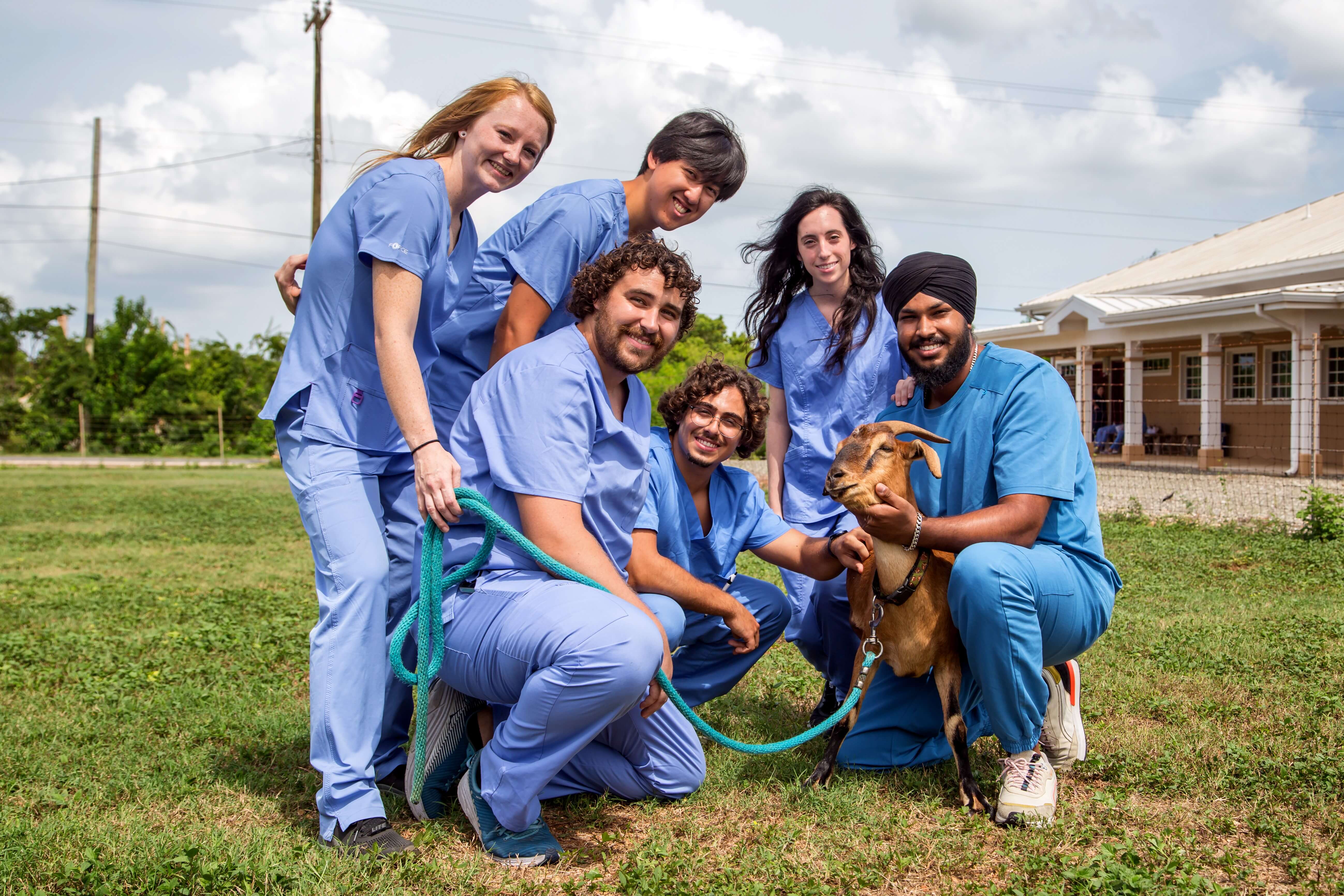 Programs - St. Matthew's University - Veterinary
